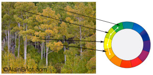 Color Harmonies-3-Analogous and Triadic - Luminous Landscape