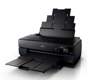 The New Epson SureColor P800 Printer Review - Luminous Landscape