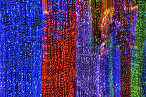 Compelling Photographs: The Elements and Principles of Design ...