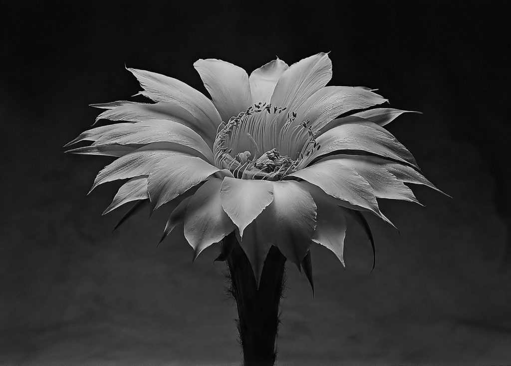 Positive Use Of Negative Space - Luminous Landscape