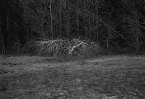 You Too Can Make a Photo Book - Luminous Landscape