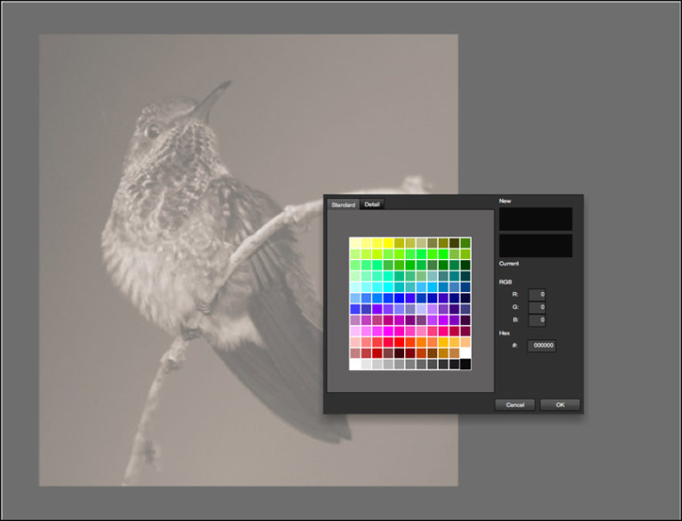 Printing Can be Fun and Easy - Luminous Landscape