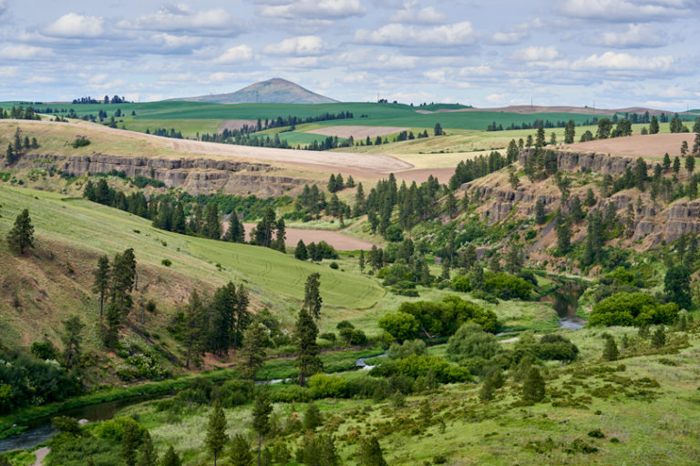 In The Palouse - Luminous-Landscape's Palouse Workshops - Luminous Landscape