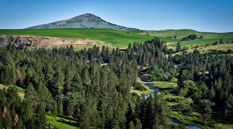 In The Palouse - Luminous-Landscape's Palouse Workshops - Luminous Landscape