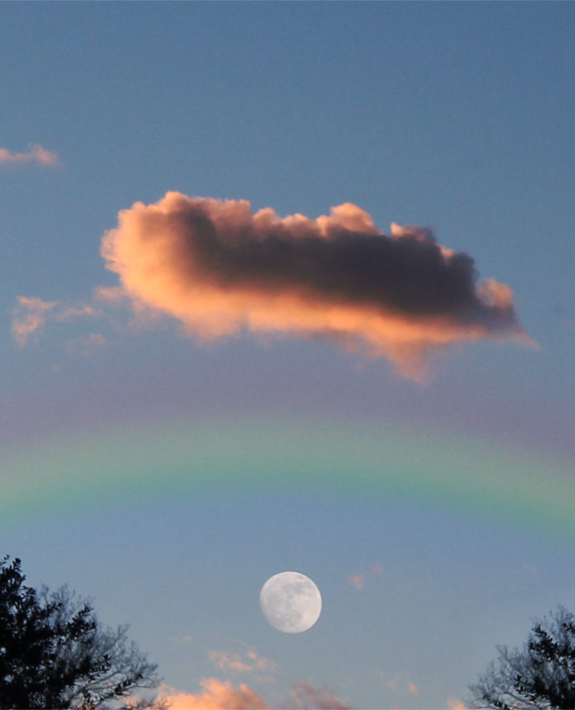 Profile: Light From Above With Jacob Mitchell - Luminous Landscape