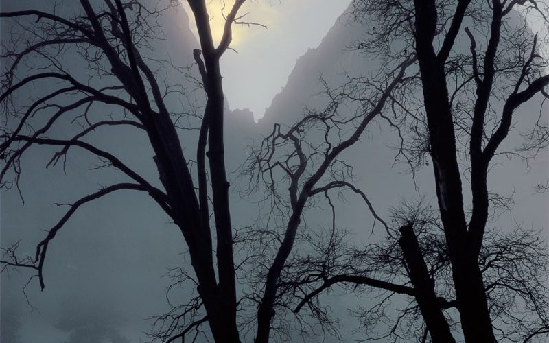 William Neill: Interview For a Retrospective - Luminous Landscape