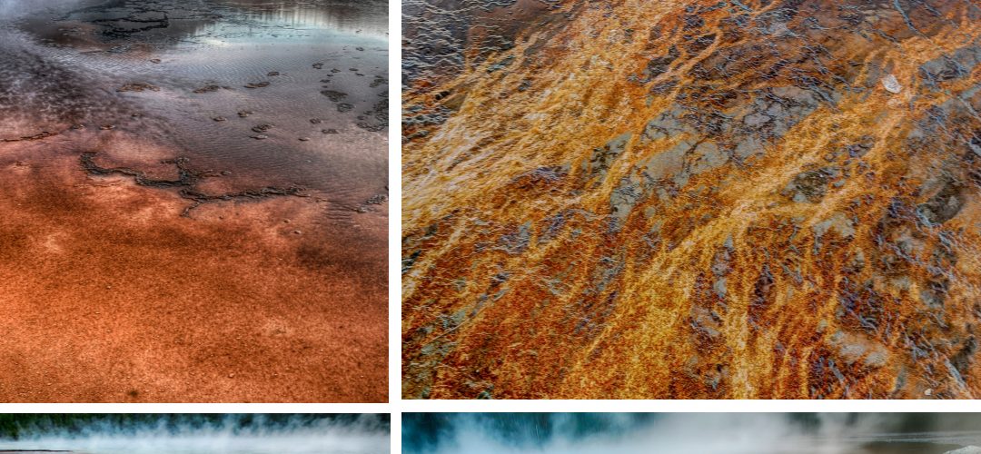 The Art of Yellowstone Algae - Luminous Landscape