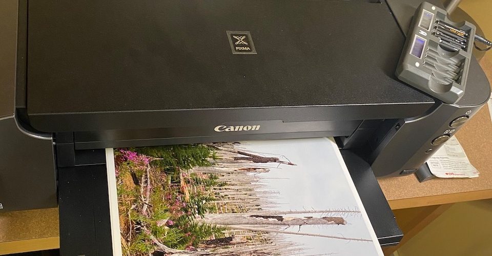 On Printing and Paper Part III – Printers. - Luminous Landscape