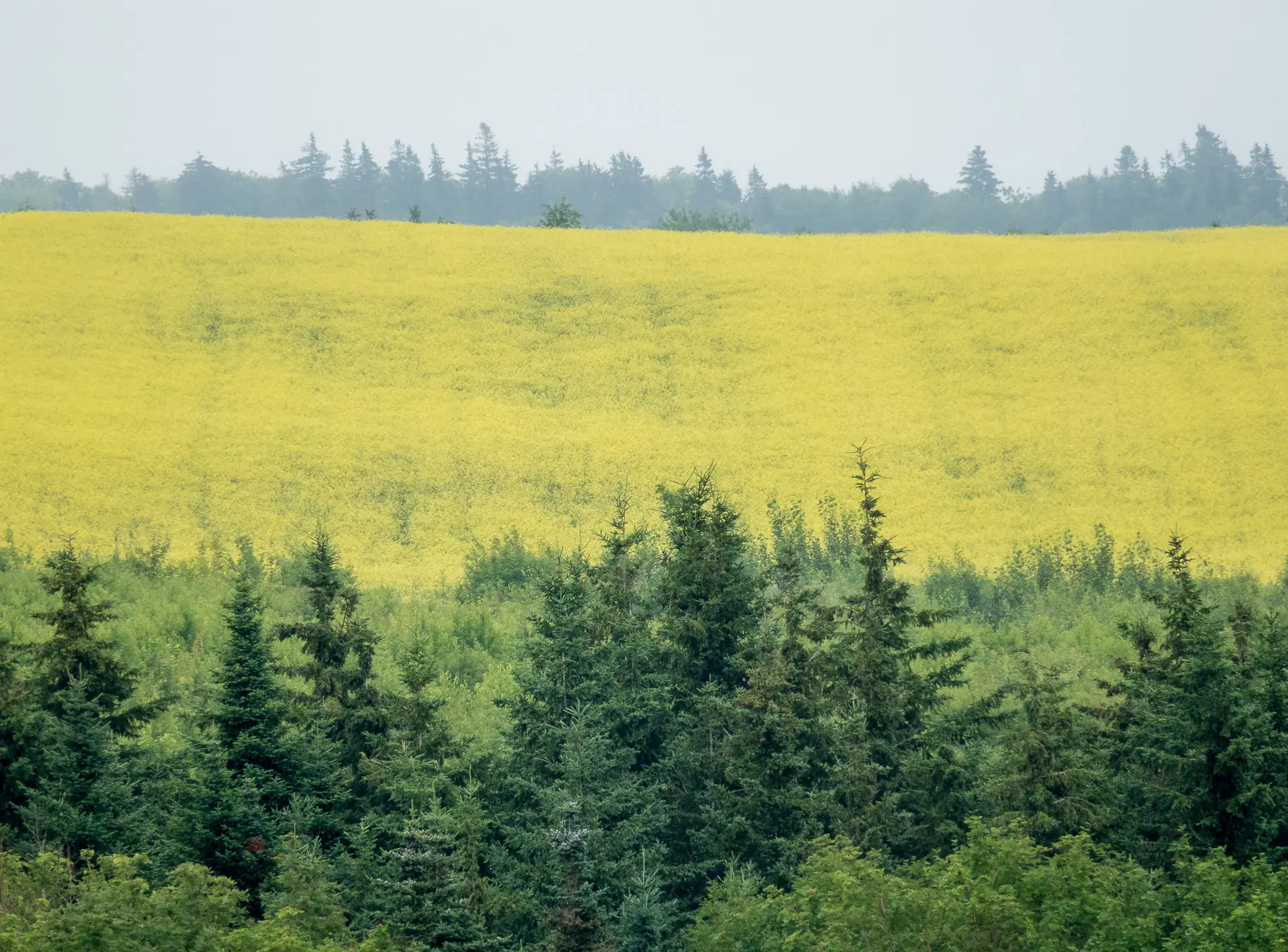 Guide to Capture One Pro - Luminous Landscape