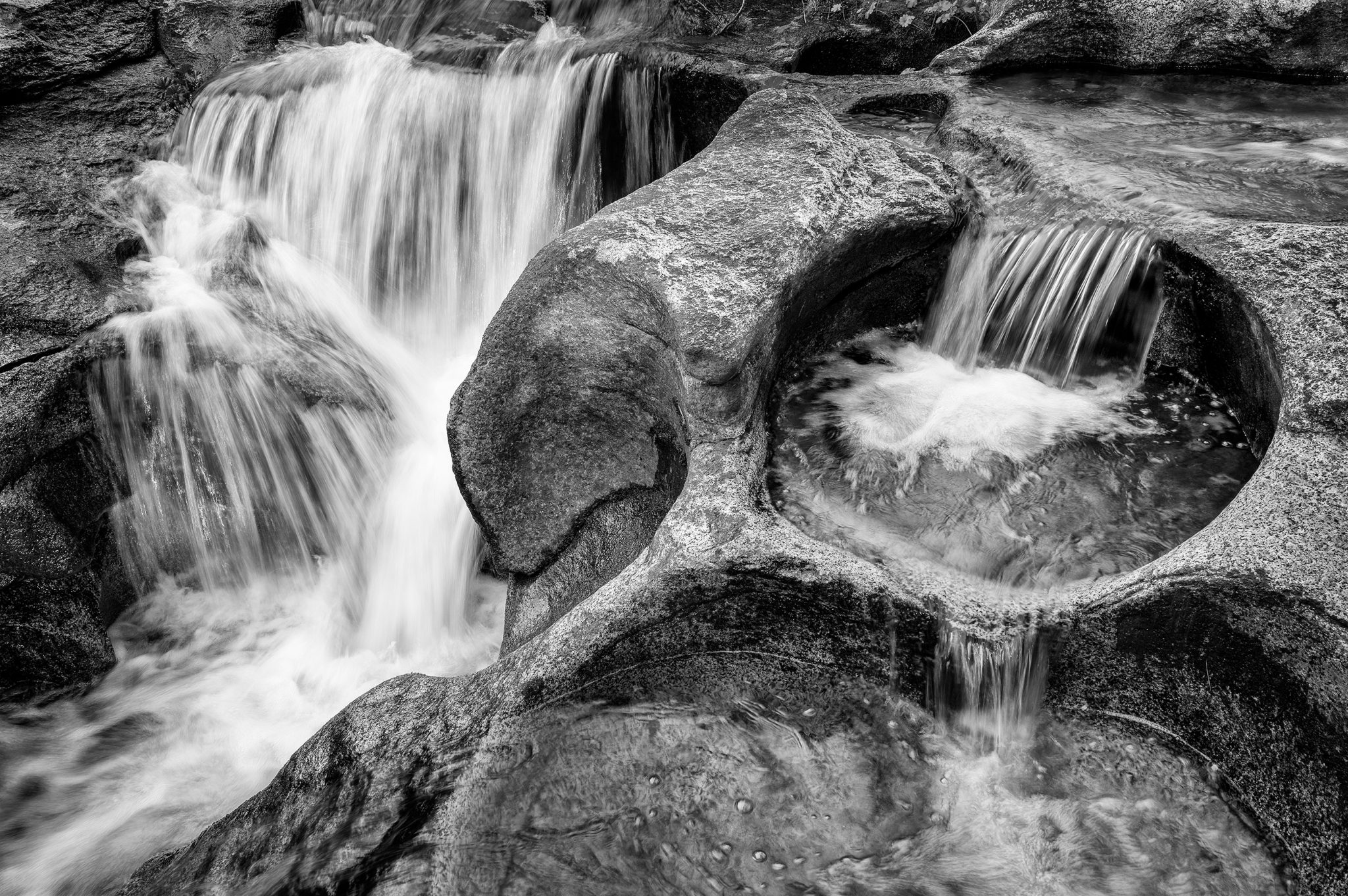 LuLa Show & Tell - January: Solitude, Scale & Vulnerability - Luminous ...